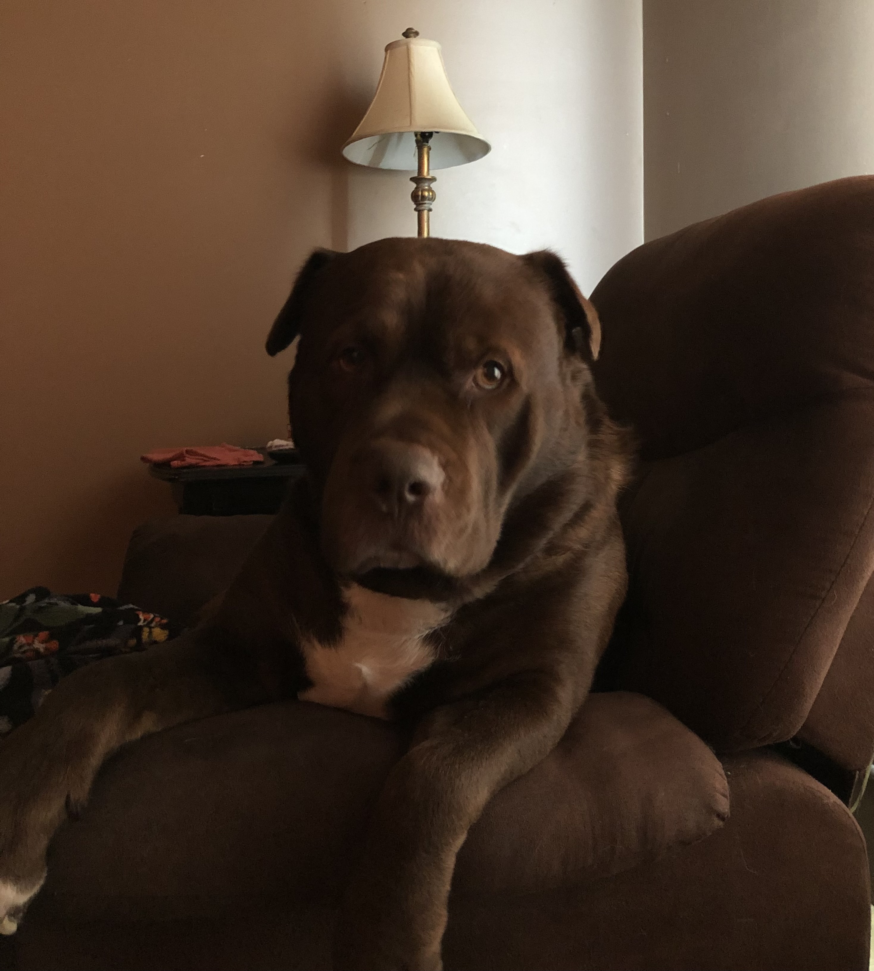 Dave | Guns Missouri FREE Classifieds | Buy Sell Trade Firearms in MO